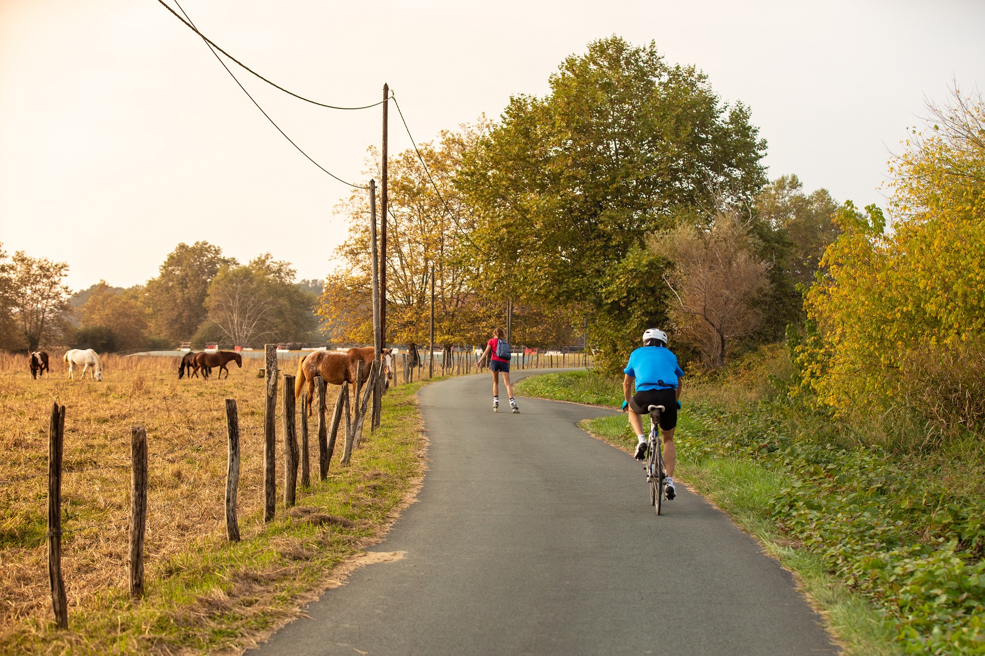 Activités de pleine nature | Patrimoine naturel du Pays Basque